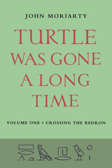 Boek | Turtle Was Gone A Long Time Vol.1 - John Moriarty | Hebban.nl