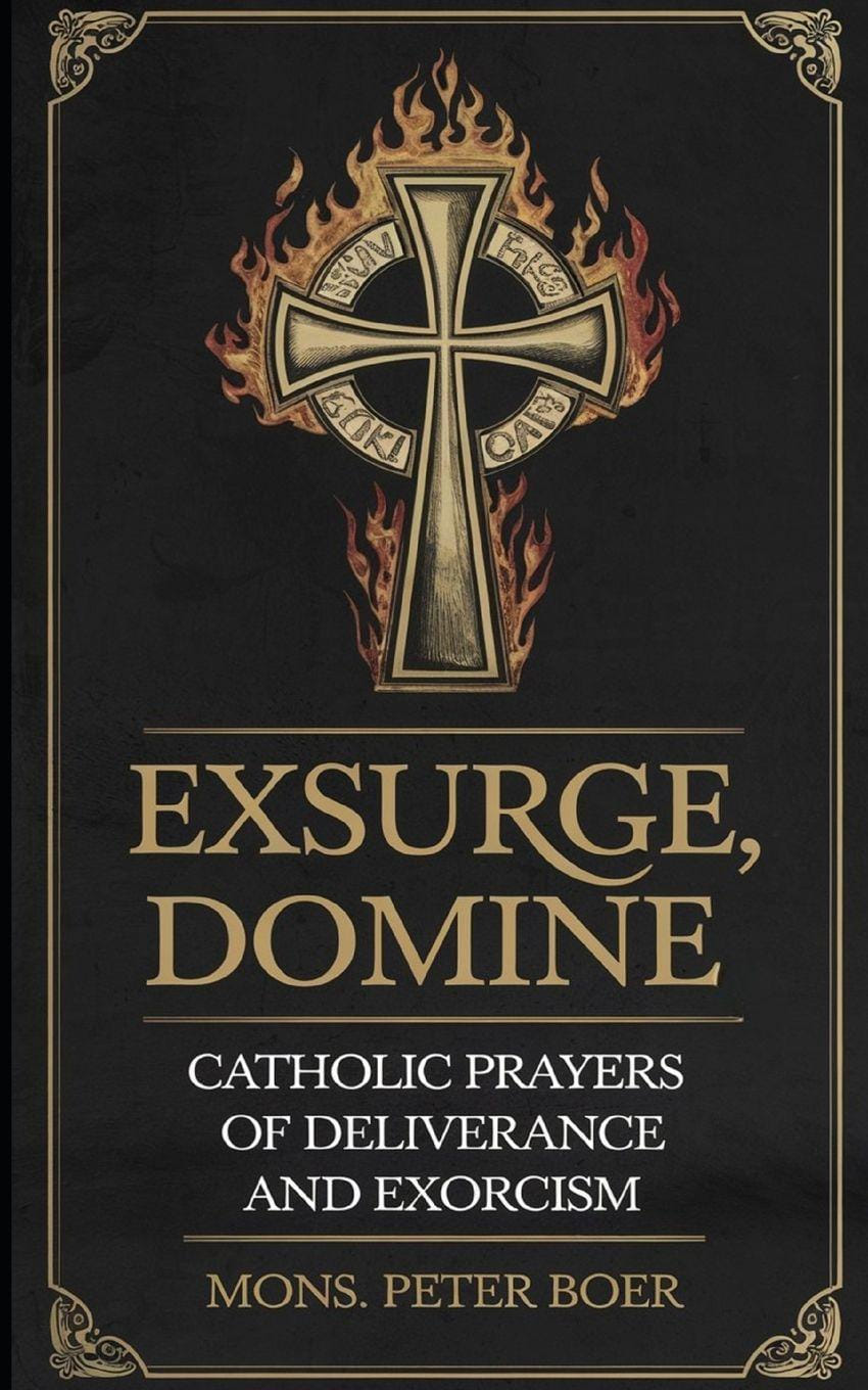 Boek | Exsurge, Domine - Mons. Peter Boer | Hebban.nl
