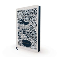 Northanger Abbey (Jane Austen Collection): Deluxe Edition | Hebban.nl